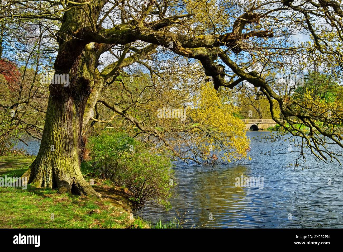 UK, West Yorkshire, Wakefield, Nostell Priory, Lower Lake Stock Photo ...
