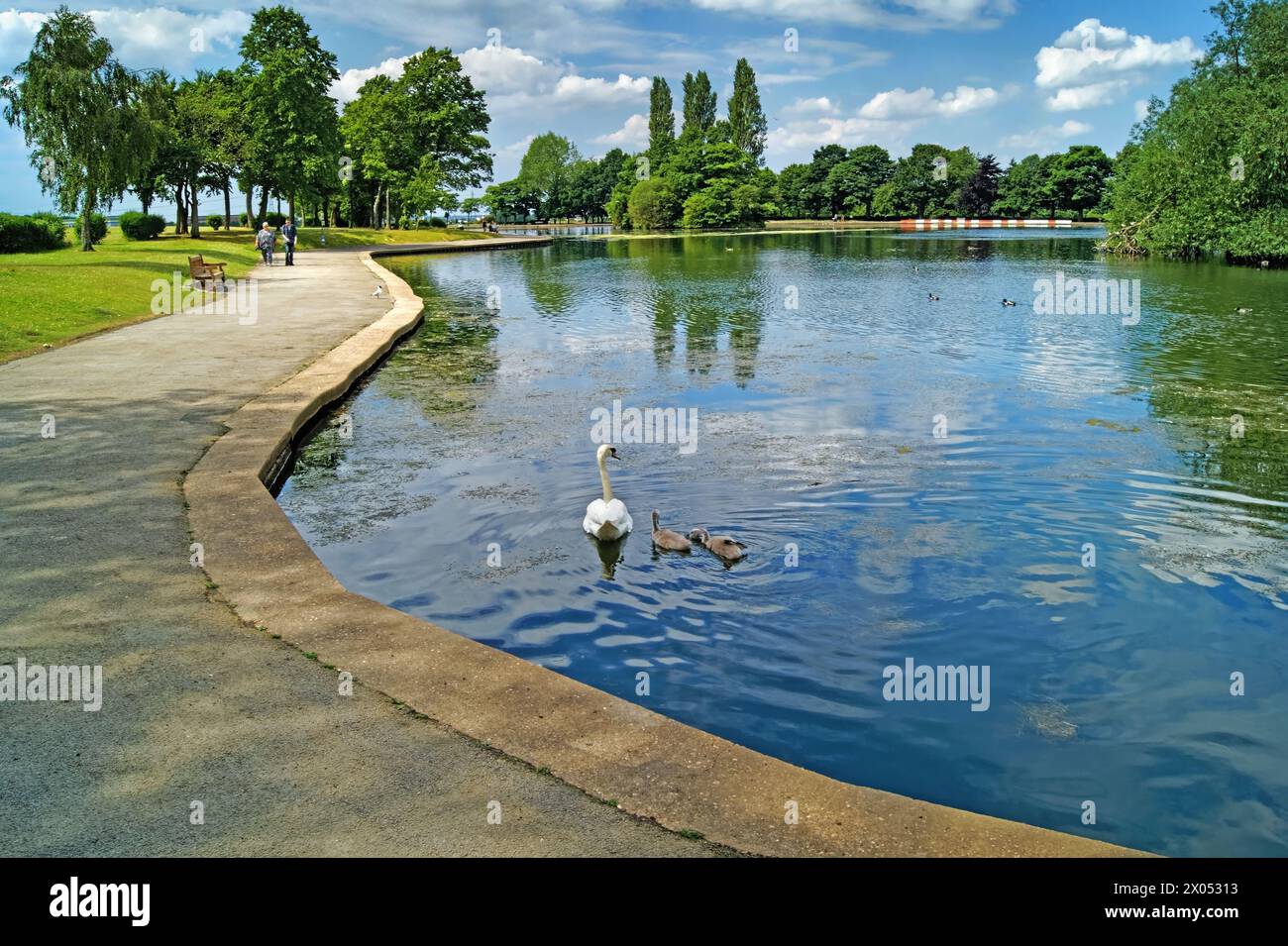 UK, West Yorkshire, Pontefract Park Lake Stock Photo - Alamy