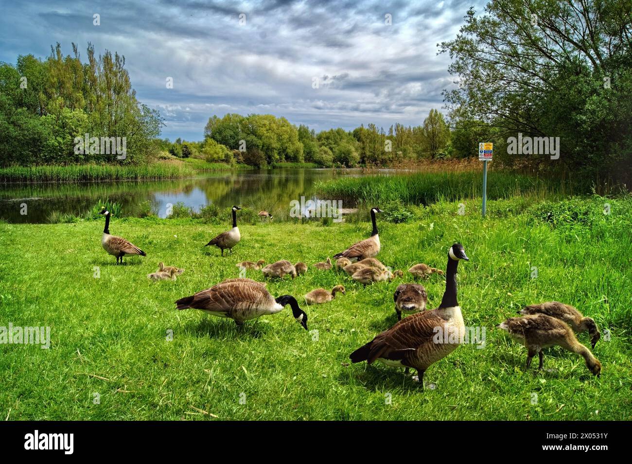 Walton west hi-res stock photography and images - Alamy