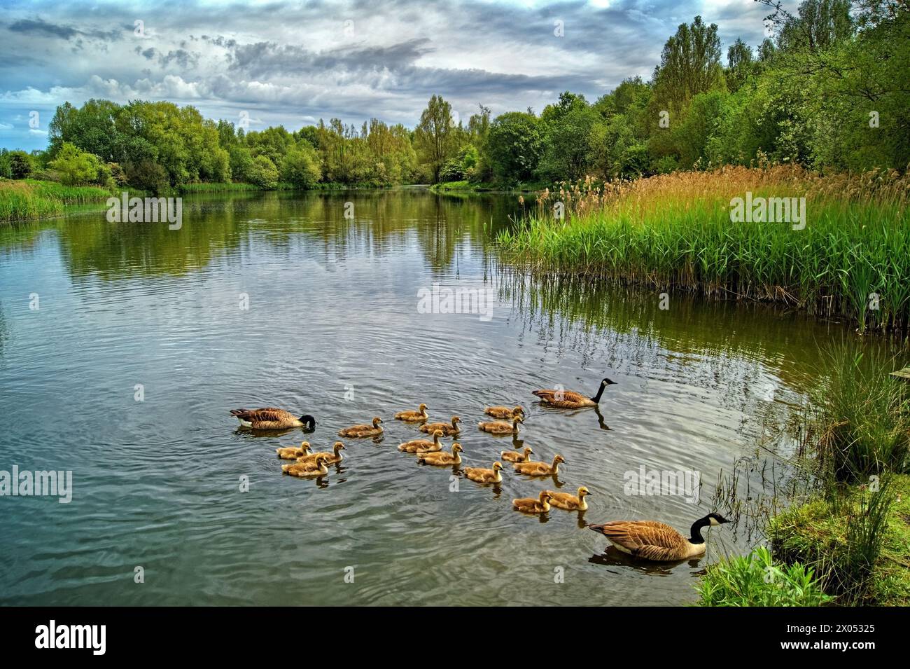 West walton hi-res stock photography and images - Alamy