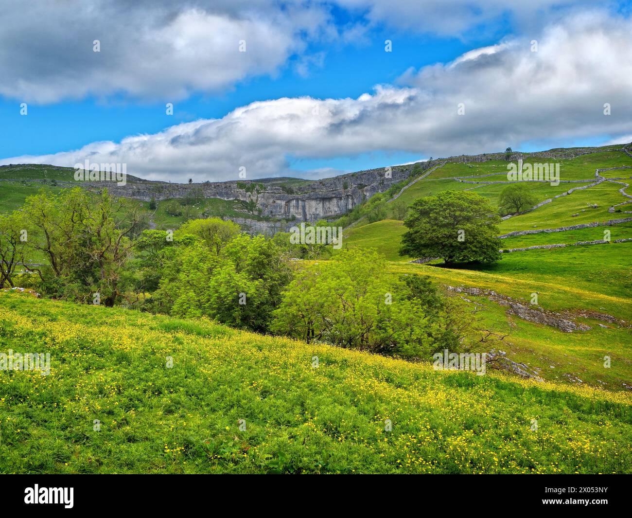 Cove pasture hi-res stock photography and images - Alamy