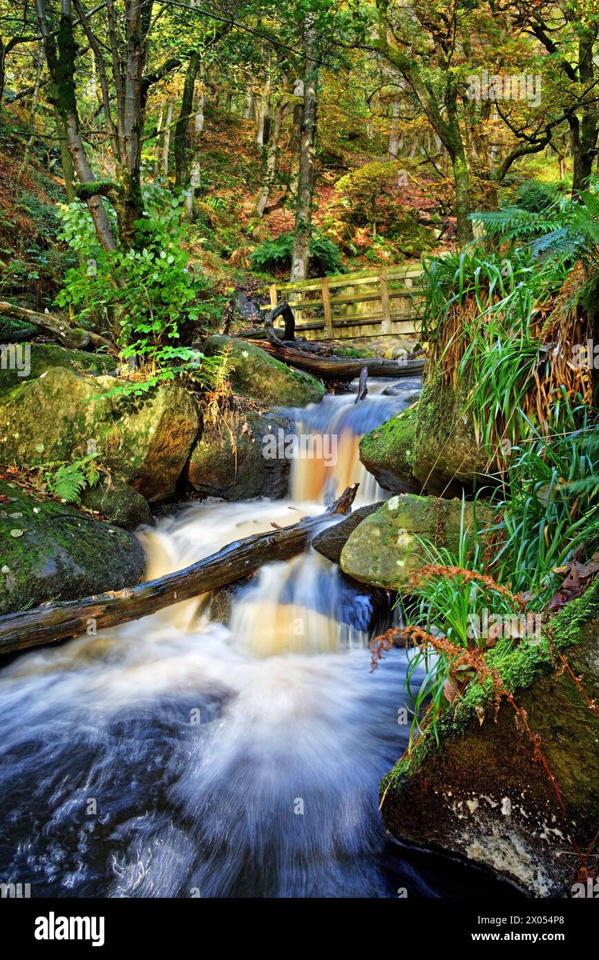 UK, Derbyshire, Peak District, Padley Gorge Waterfalls and Footbridge ...