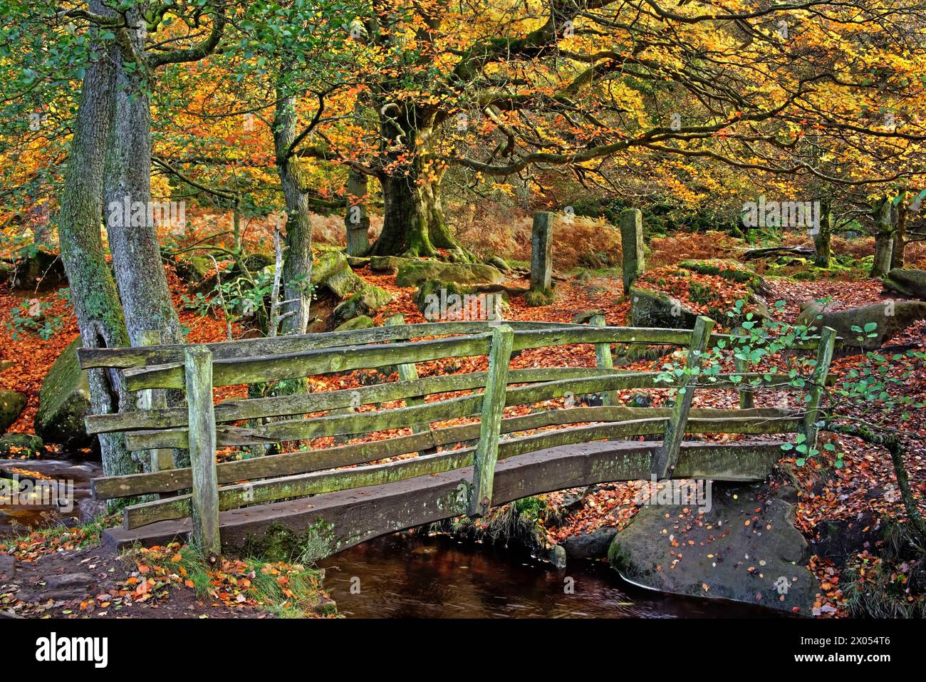 UK, Derbyshire, Peak District, Padley Gorge, Footbridge over Burbage ...