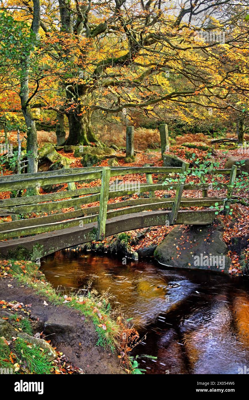 UK, Derbyshire, Peak District, Padley Gorge, Footbridge over Burbage ...