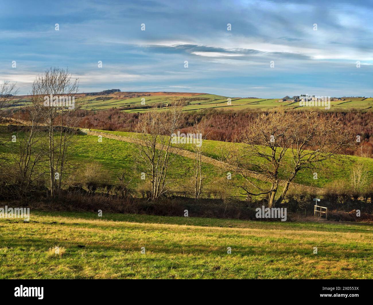 Rivelin rough hi-res stock photography and images - Alamy