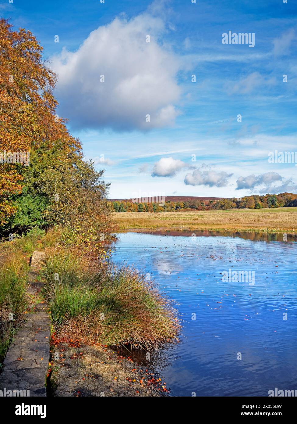 UK, Derbyshire, Peak District, Longshaw Estate, Longshaw Pond Stock ...