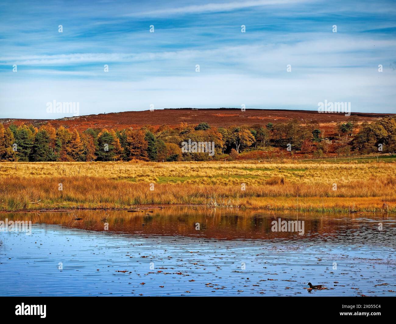 Longshaw pond hi-res stock photography and images - Alamy