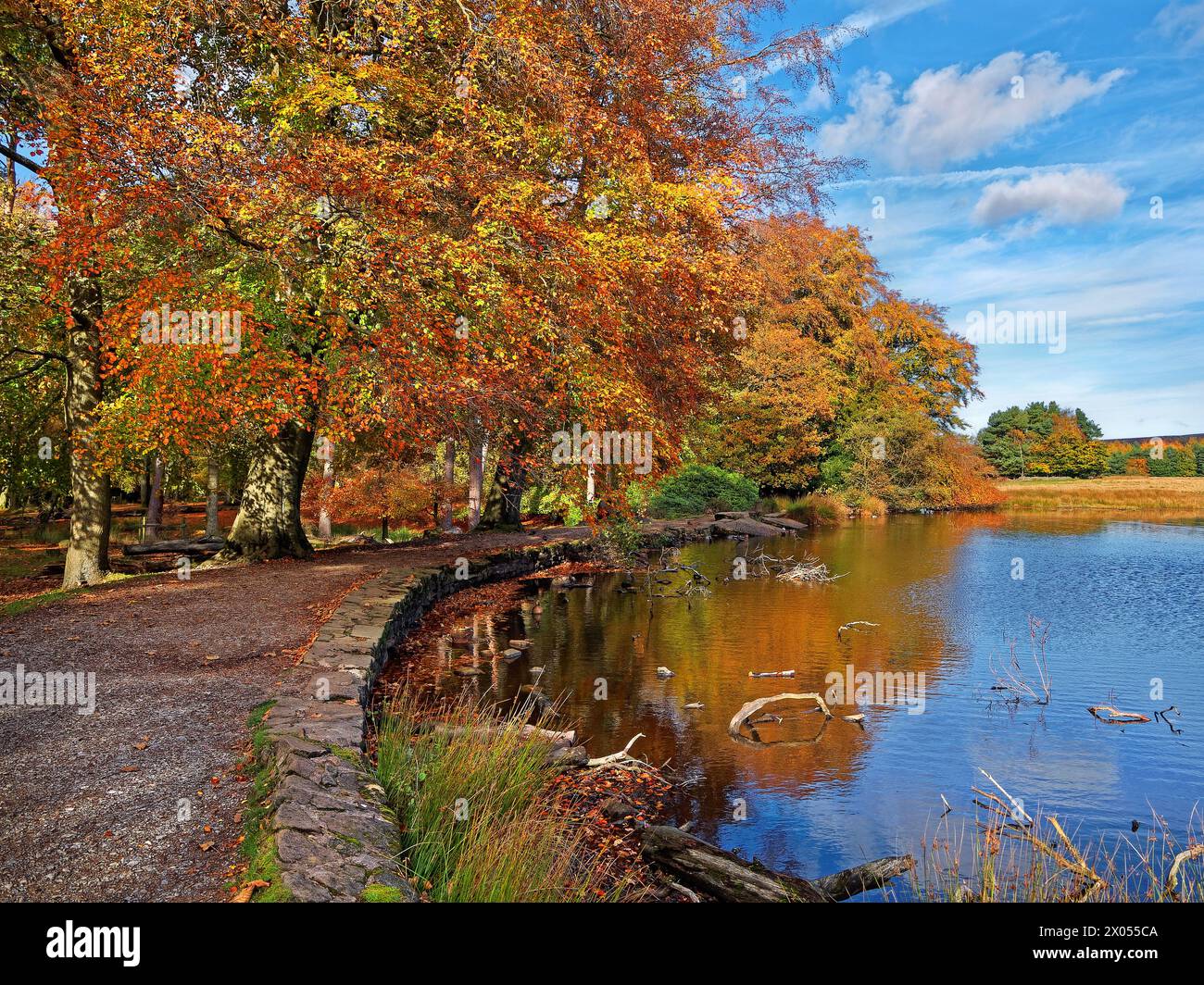 Longshaw pond hi-res stock photography and images - Alamy