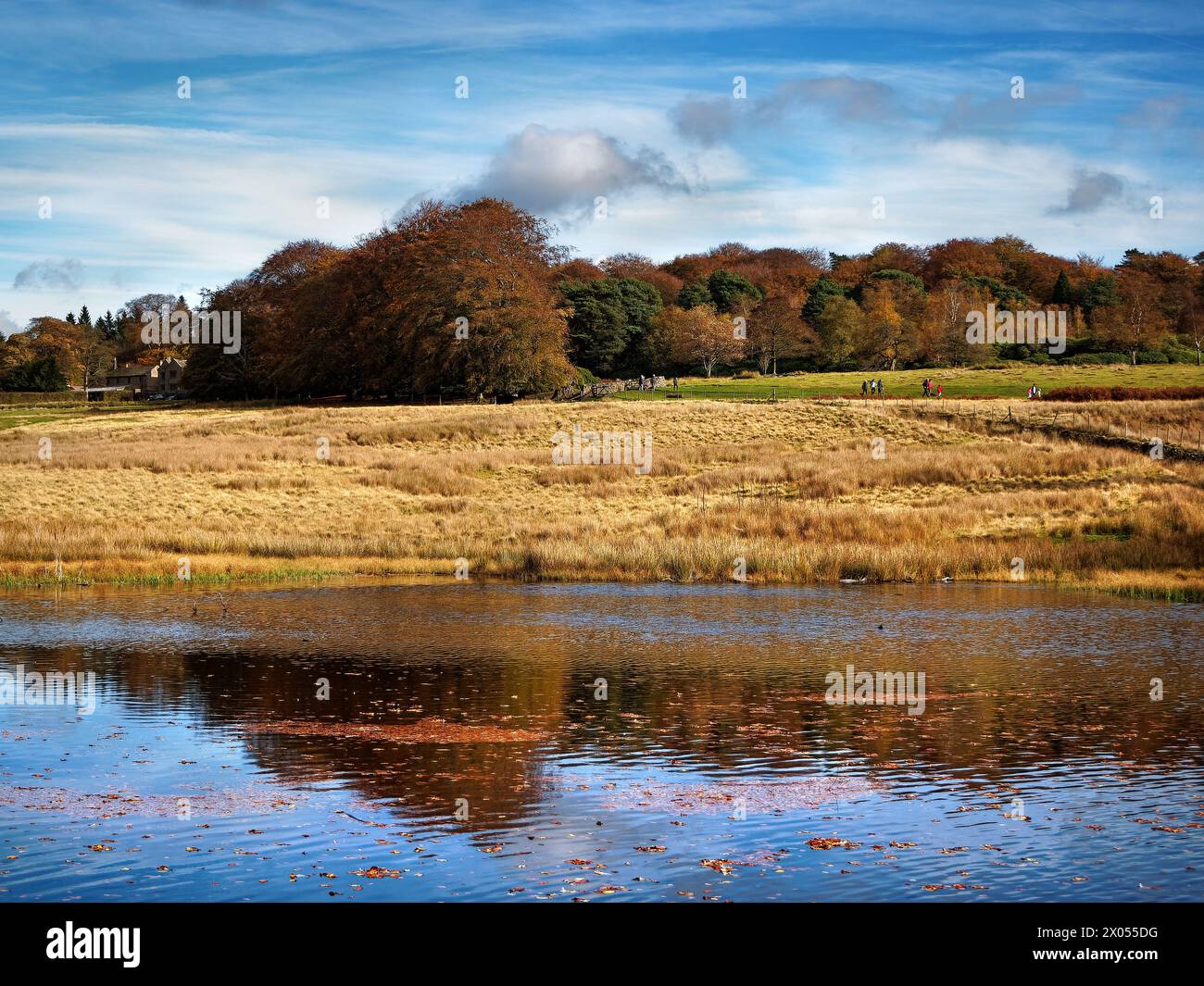 Longshaw pond hi-res stock photography and images - Alamy
