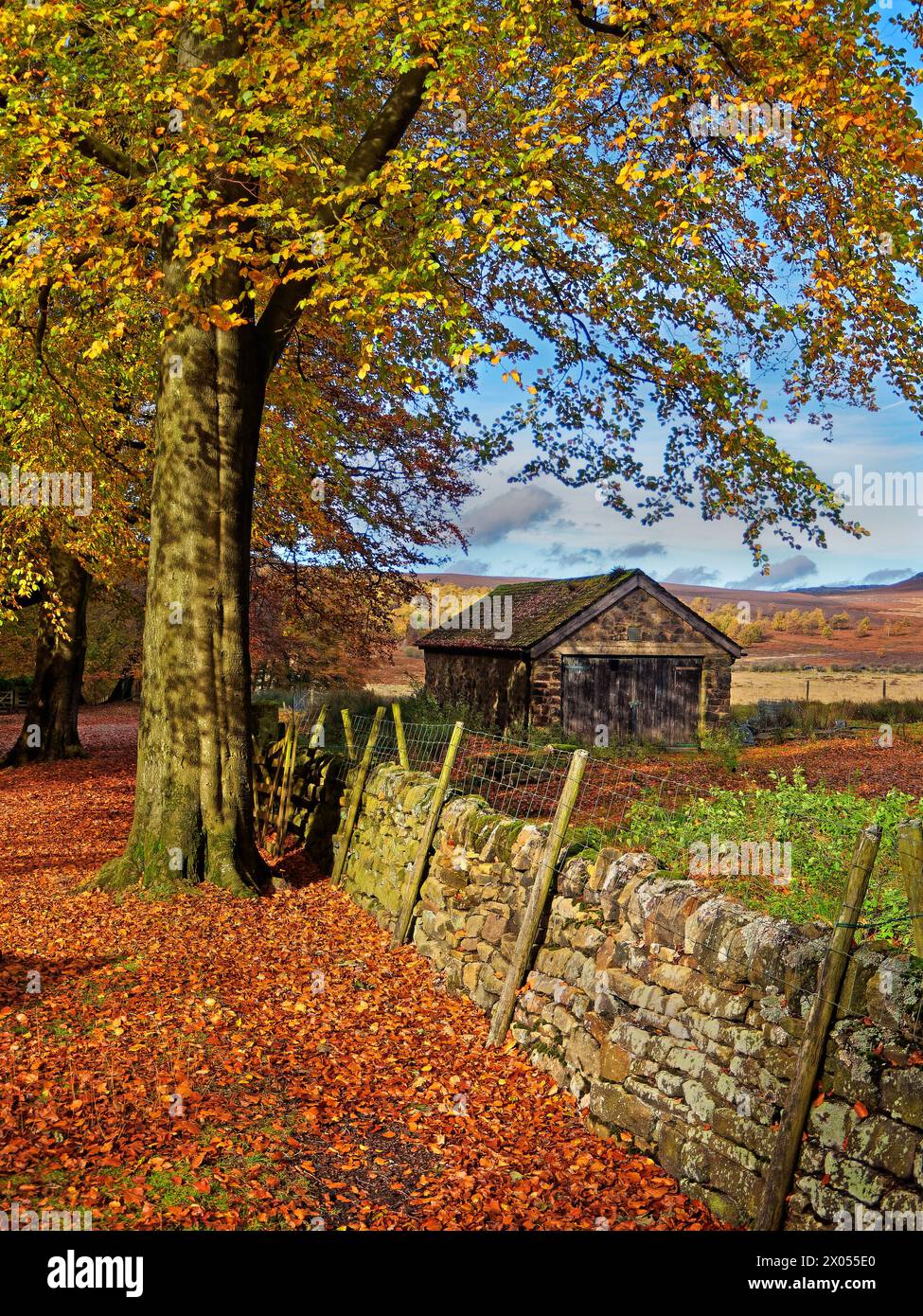 UK, Derbyshire, Peak District, Longshaw Estate, Granby Barn Stock Photo ...