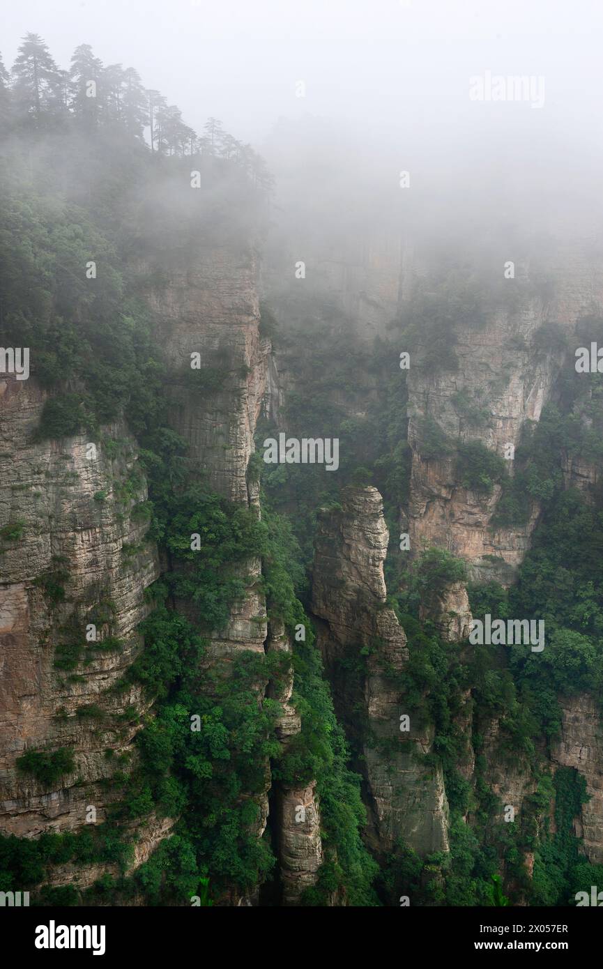 Rock pillar formation in lush hi-res stock photography and images - Alamy