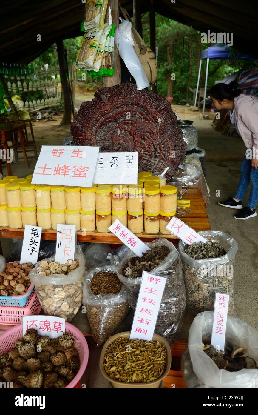 Food kiosk central park hi-res stock photography and images - Alamy