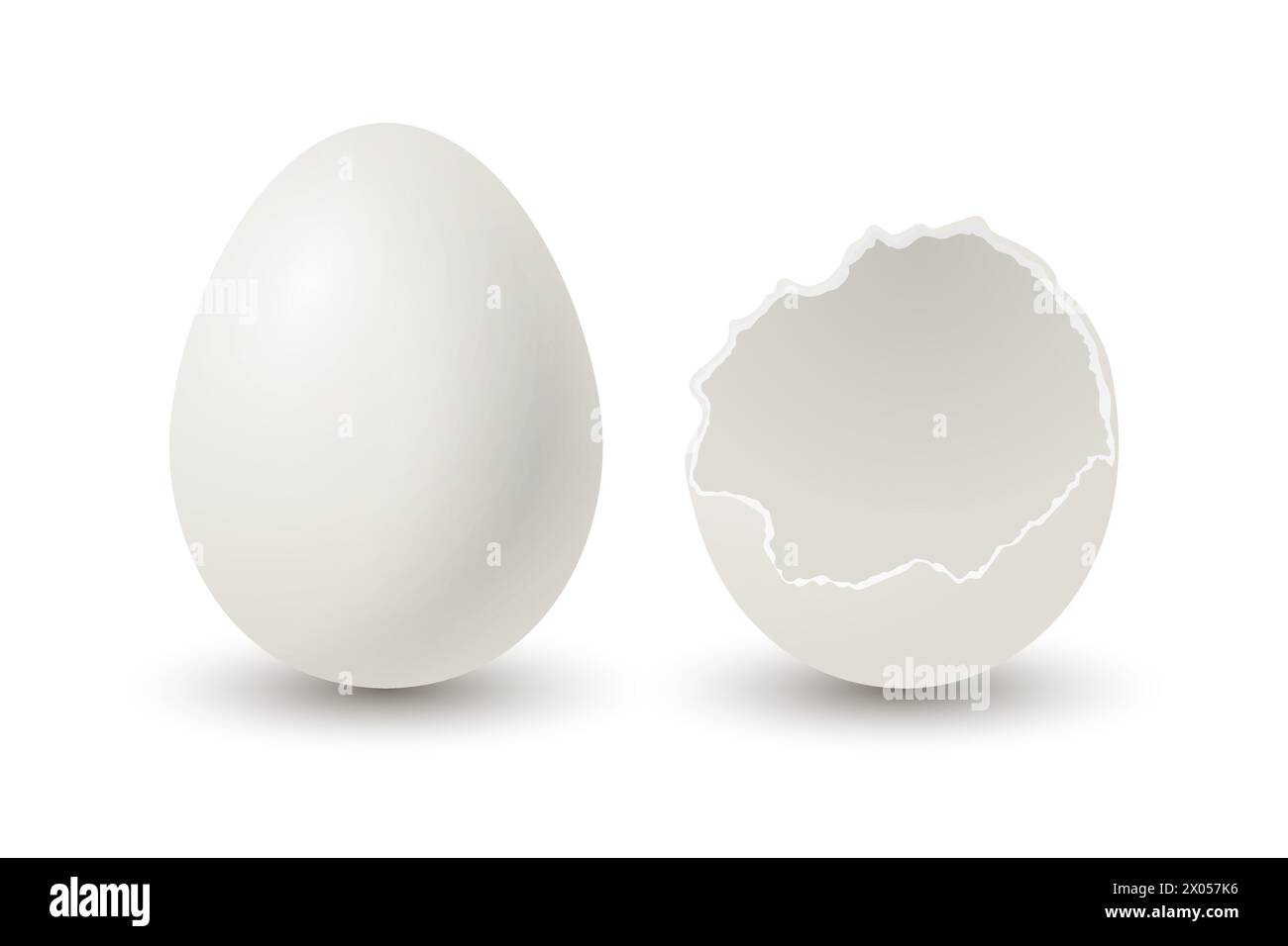Vector 3d Realistic White Chicken Eggs. Broken Chicken Egg, Cracked Two Parts, Opened Crack Raw ...
