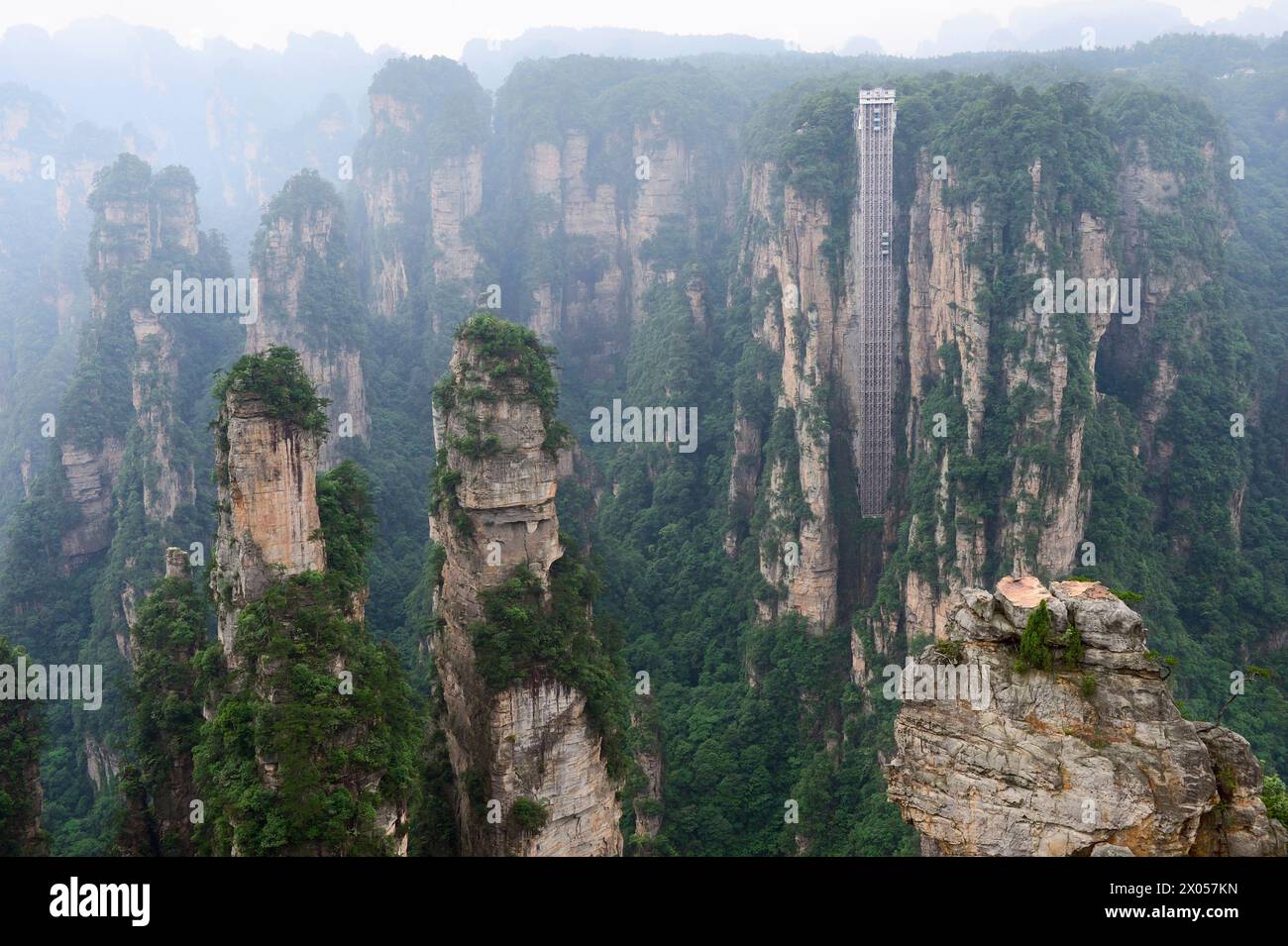 Sandstone pillars rise above the lush forest of Zhangjiajie National ...