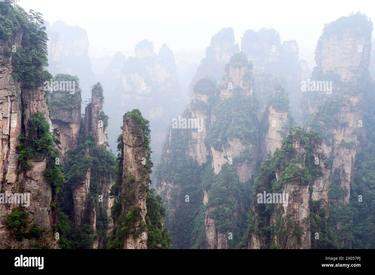 Sandstone pillars rise above the lush forest of Zhangjiajie National ...