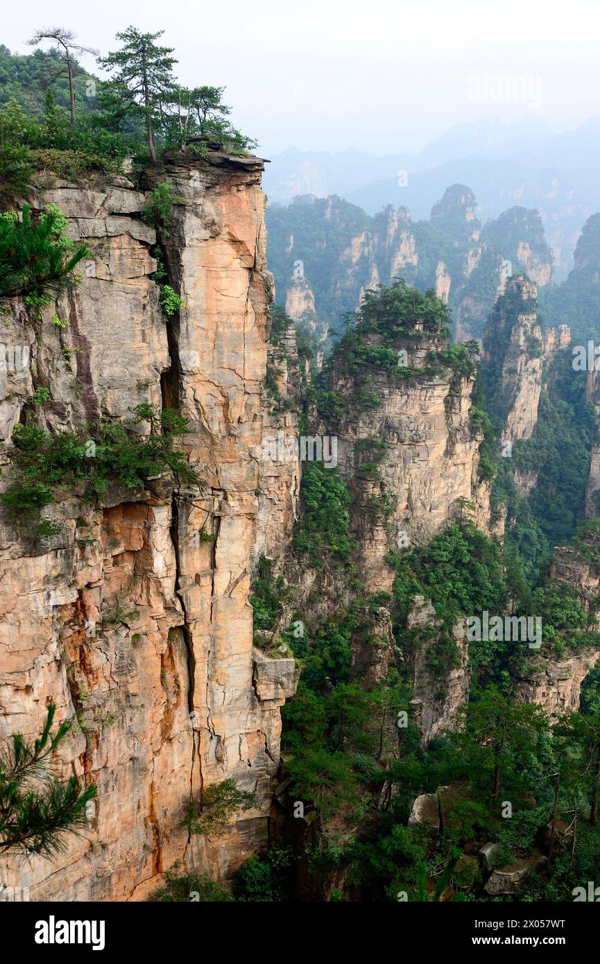 Sandstone pillars rise above the lush forest of Zhangjiajie National ...
