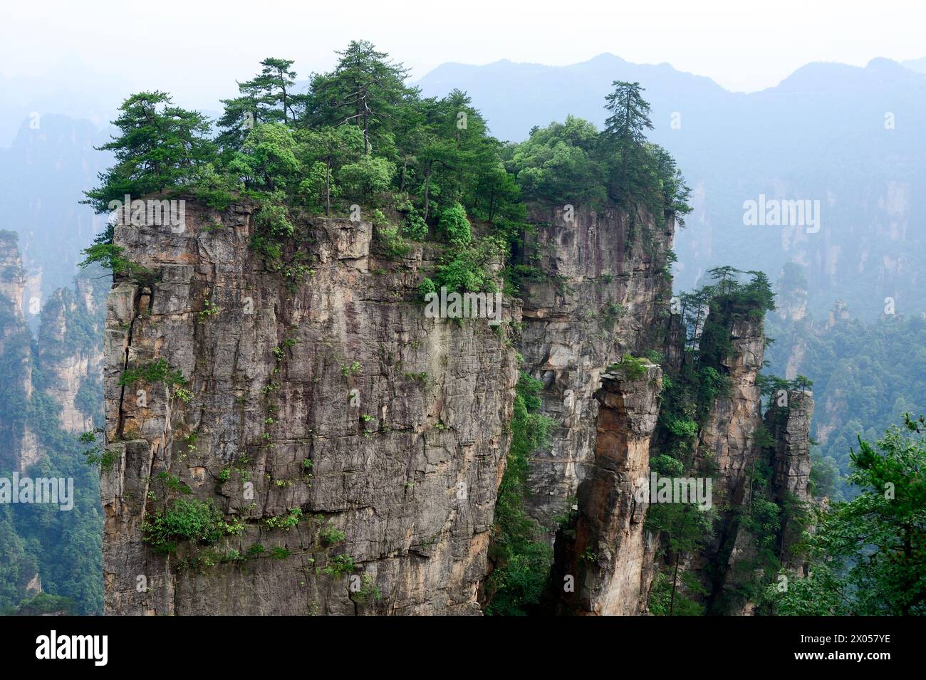 Sandstone pillars rise above the lush forest of Zhangjiajie National ...