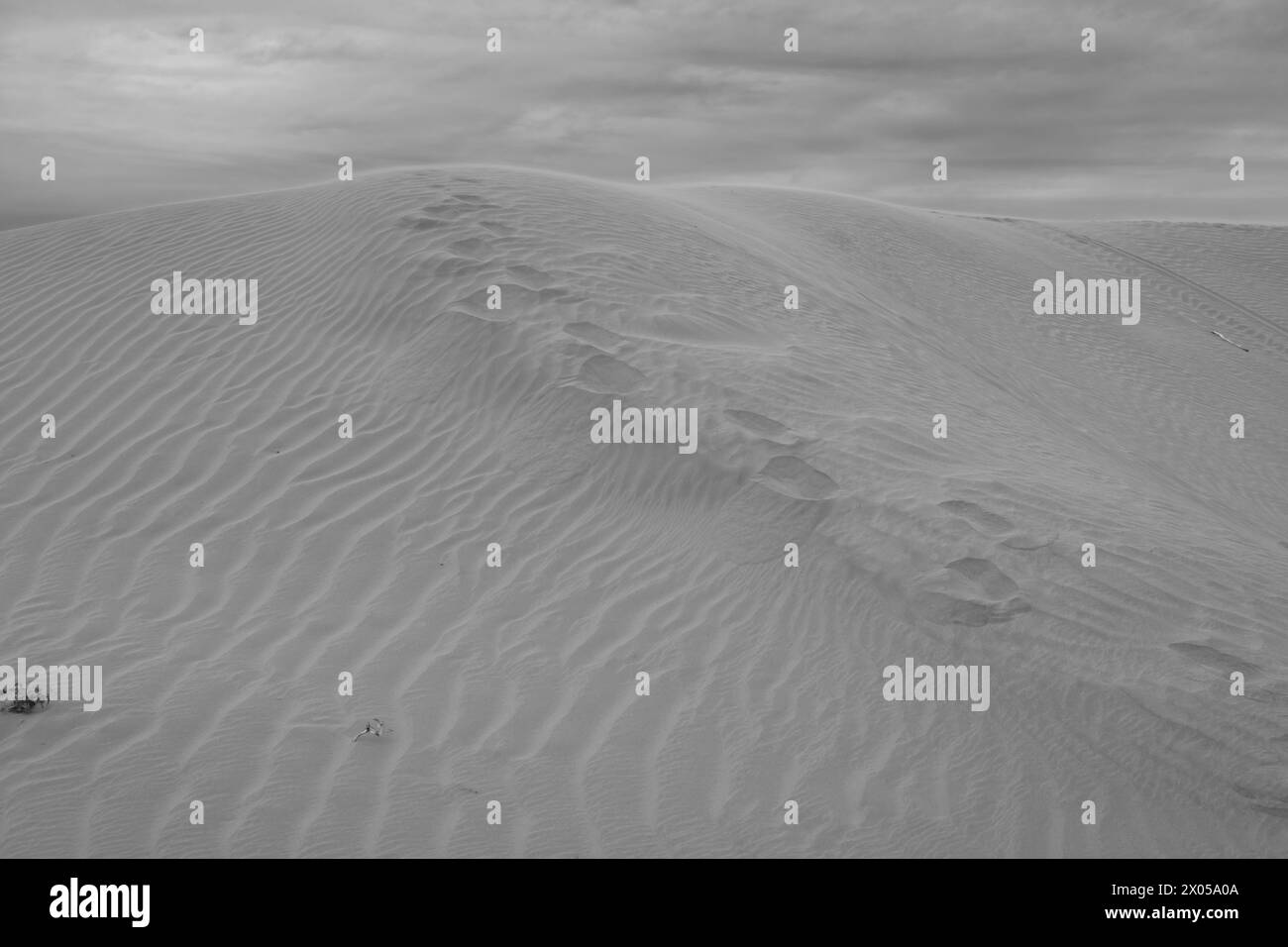 Tengger desert scenery, Inner Mongolia, China. The windy weather with ...