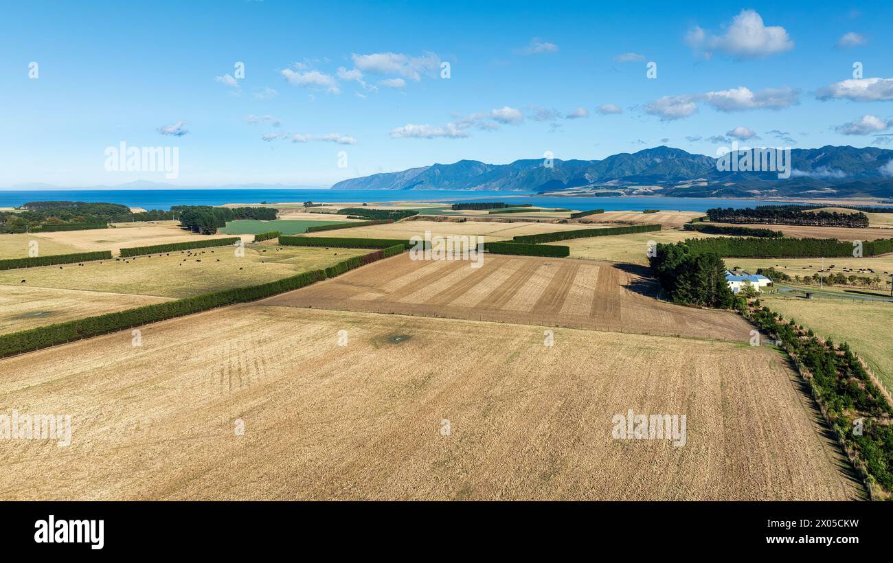 Agricultural countryside near Palliser bay looking across the bay to ...