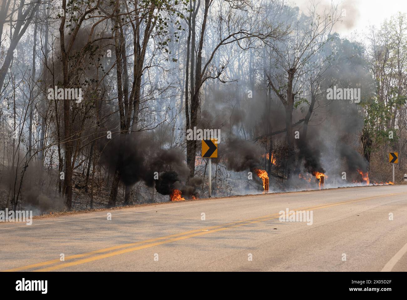 Deforestation forest edge hi-res stock photography and images - Alamy