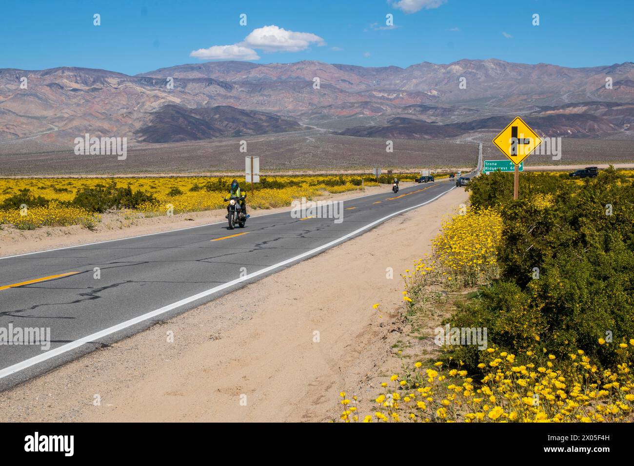 There was a wildflower superbloom in Panamint Valley of Death Valley ...