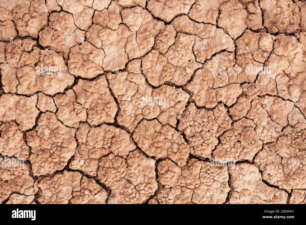 patterned cracked dried out arid soil background texture Stock Photo ...