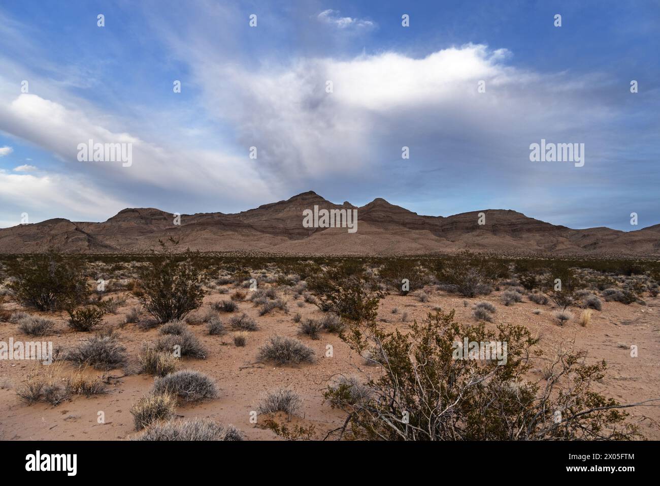 Sheep Mountain in southern Nevada rises above the Ivanpah Valley east ...