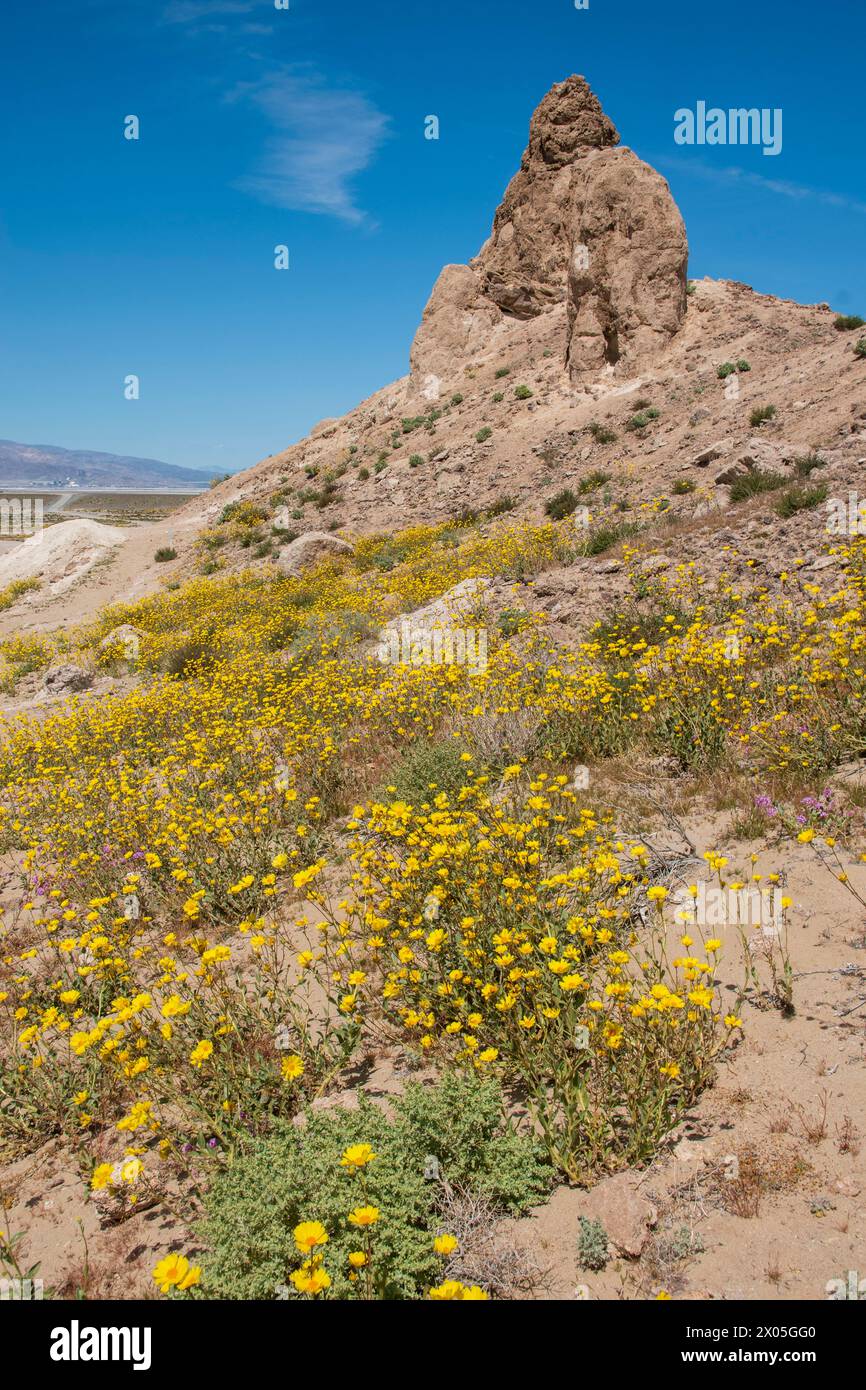 Trona pinnacles mojave desert off hi-res stock photography and images ...