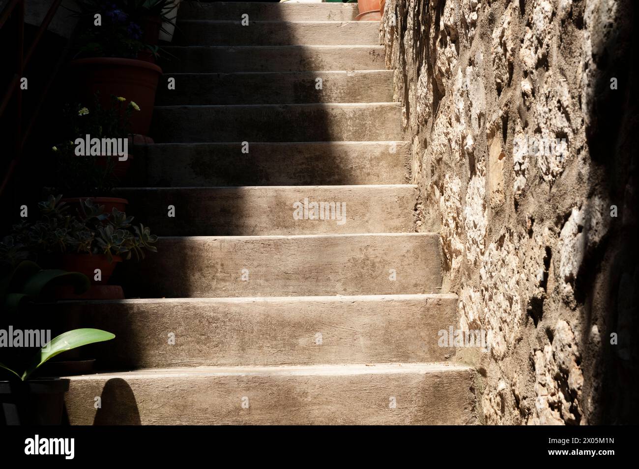 Steps leading upward with dark shadow on one side and green leaf ...