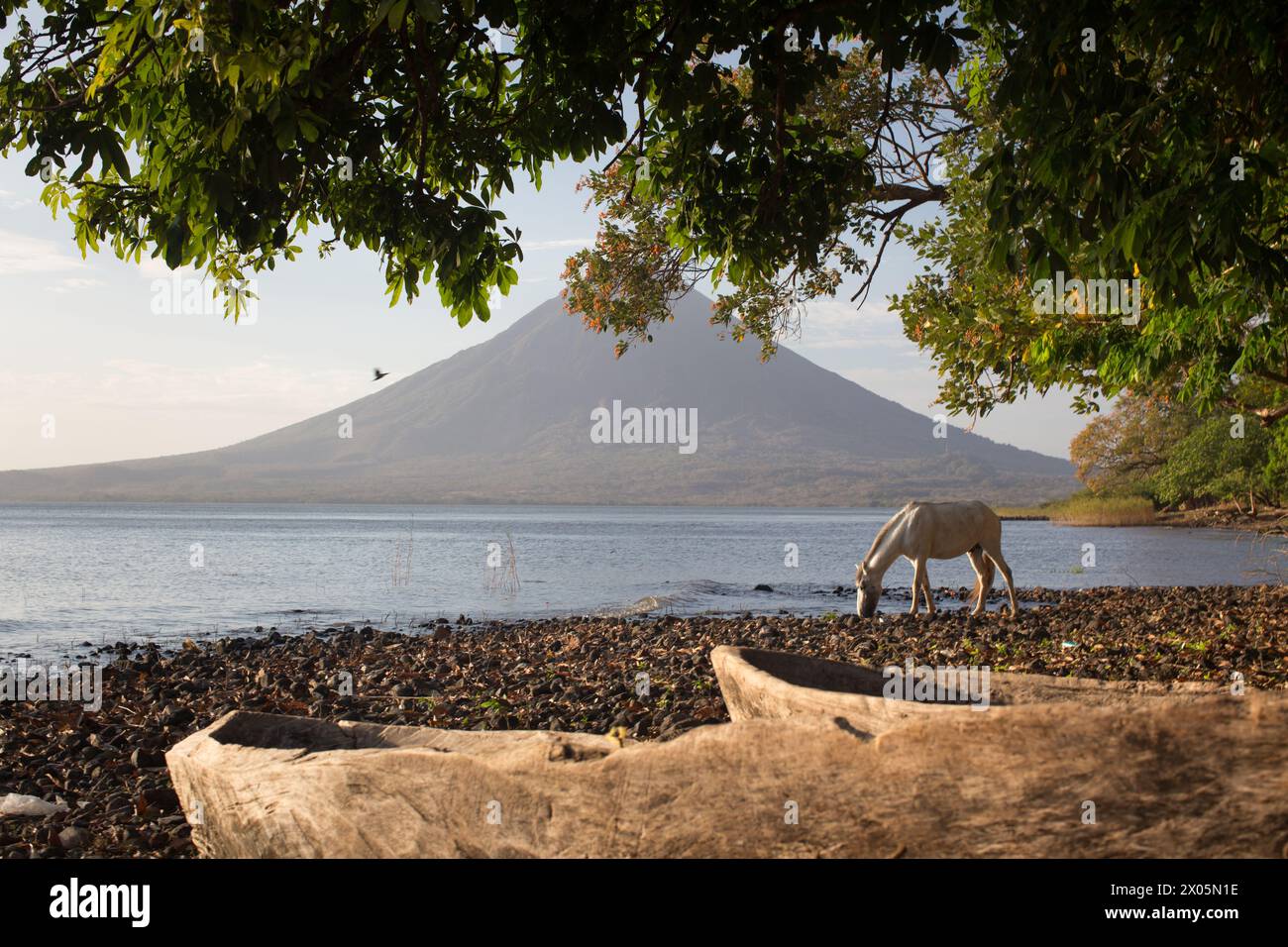 Sunset across Lake NIcaragua casts sunlight across the island of ...