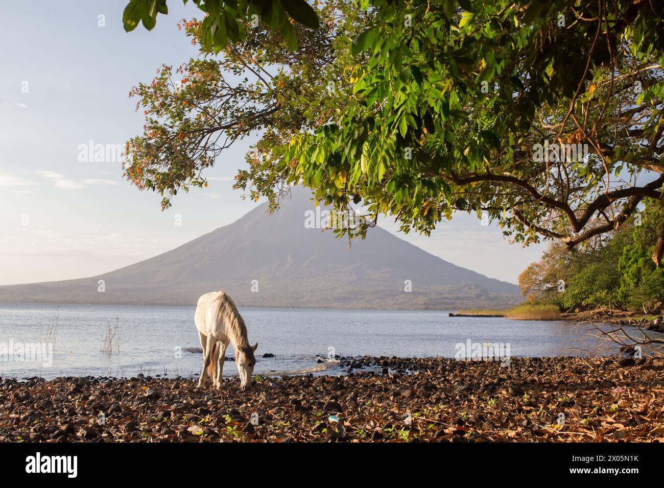Sunset across Lake NIcaragua casts sunlight across the island of ...