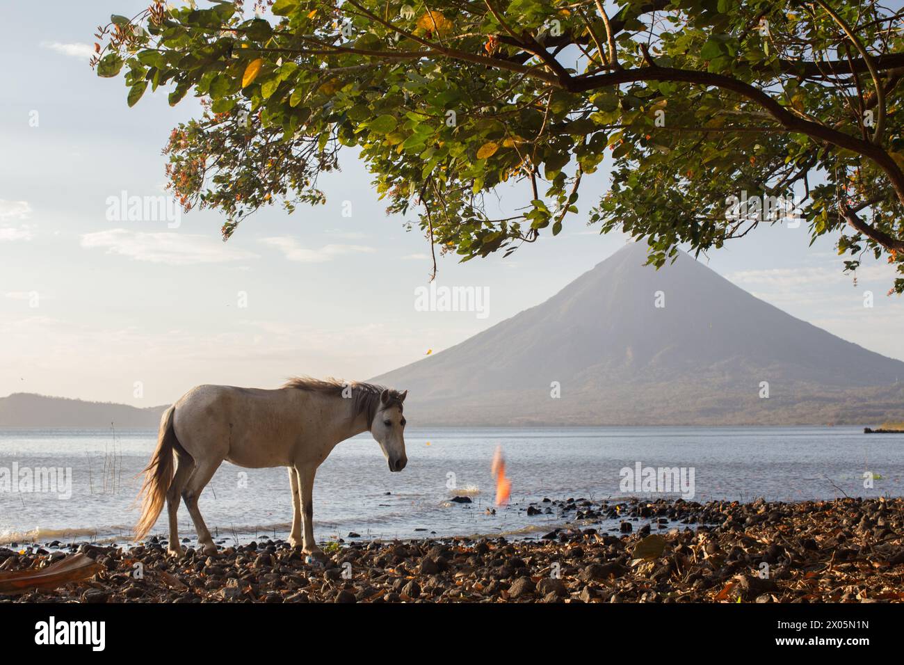 Sunset across Lake NIcaragua casts sunlight across the island of ...