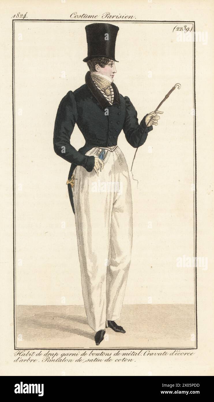 French dandy in top hat, tailcoat with metal buttons, tree-bark cravat ...