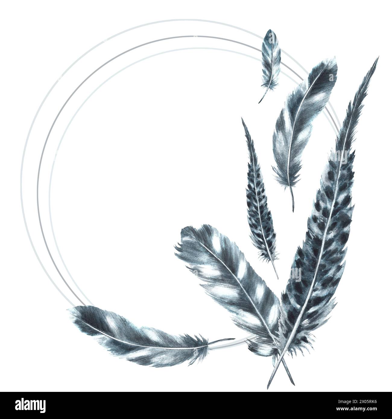 Gray, black feathers real bird wings bundle. Watercolor grey quill ...