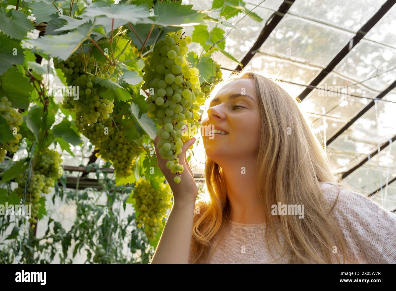 Unrecognizable farmer collecting green hi-res stock photography and ...