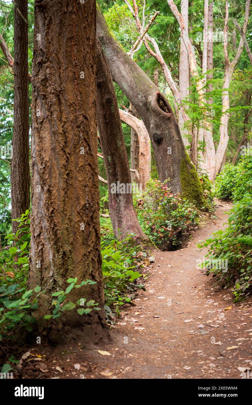 Point defiance zoo and aquarium hi-res stock photography and images - Alamy