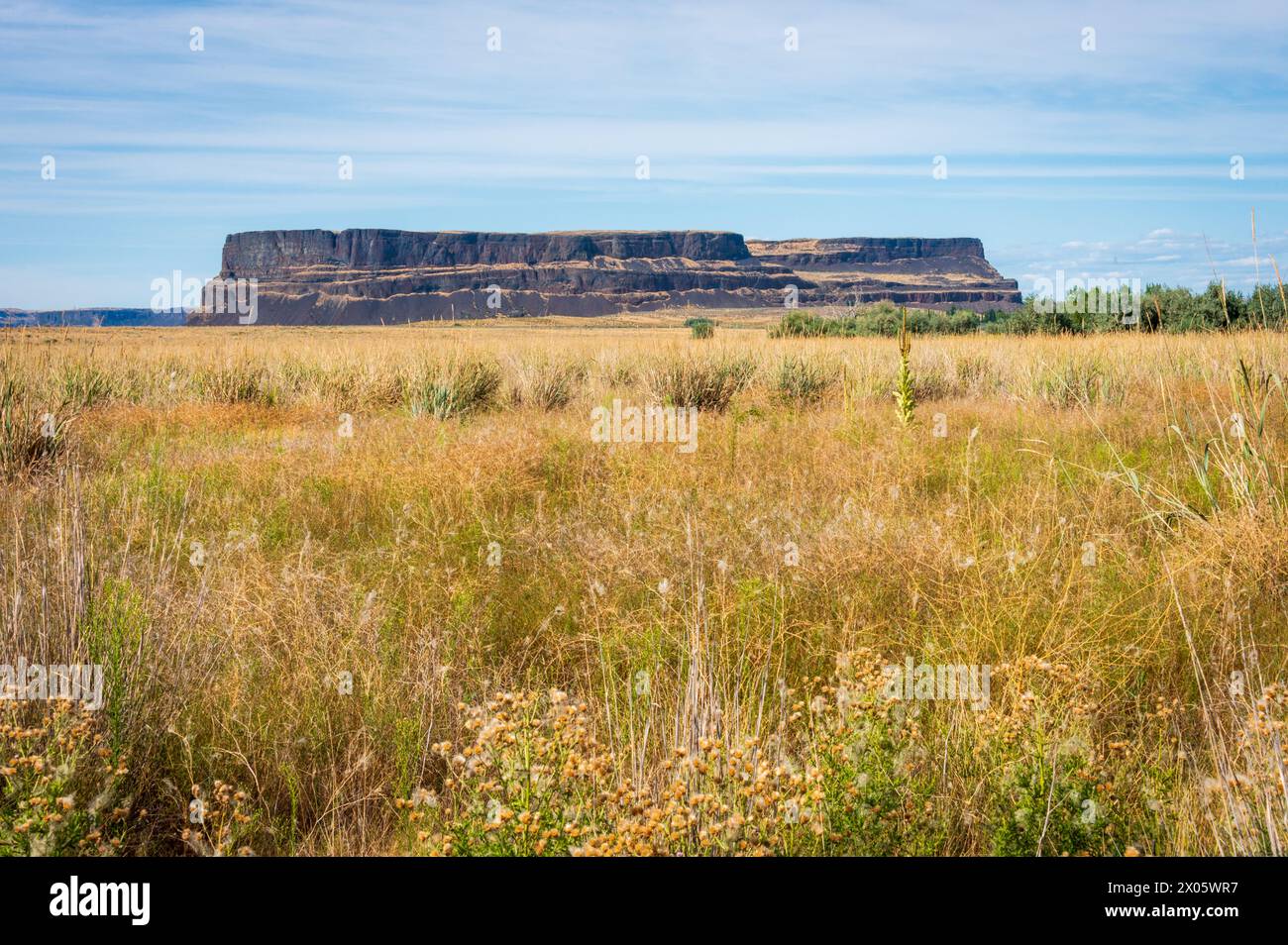 Steamboat Rock State Park by Banks Lake in the Grand Coulee, in ...