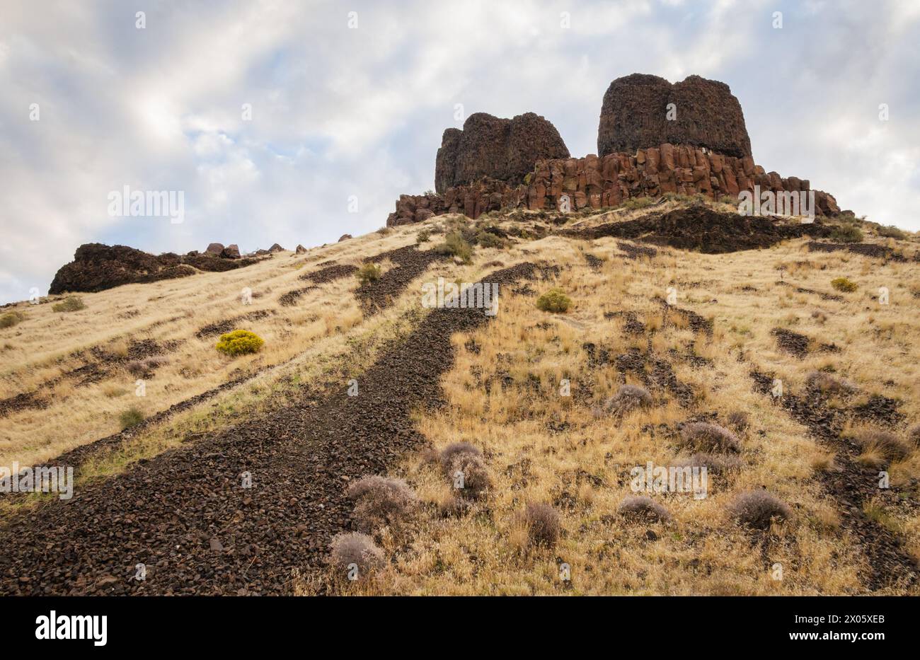 Twin Sisters Rocks, Two Pillars of Basalt in Washington State, USA ...