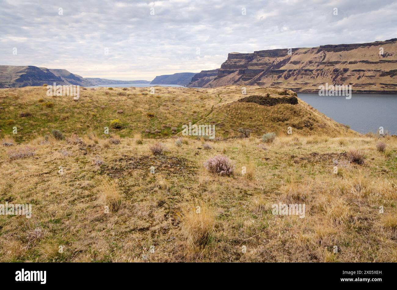 Twin Sisters Rocks, Two Pillars of Basalt in Washington State, USA ...
