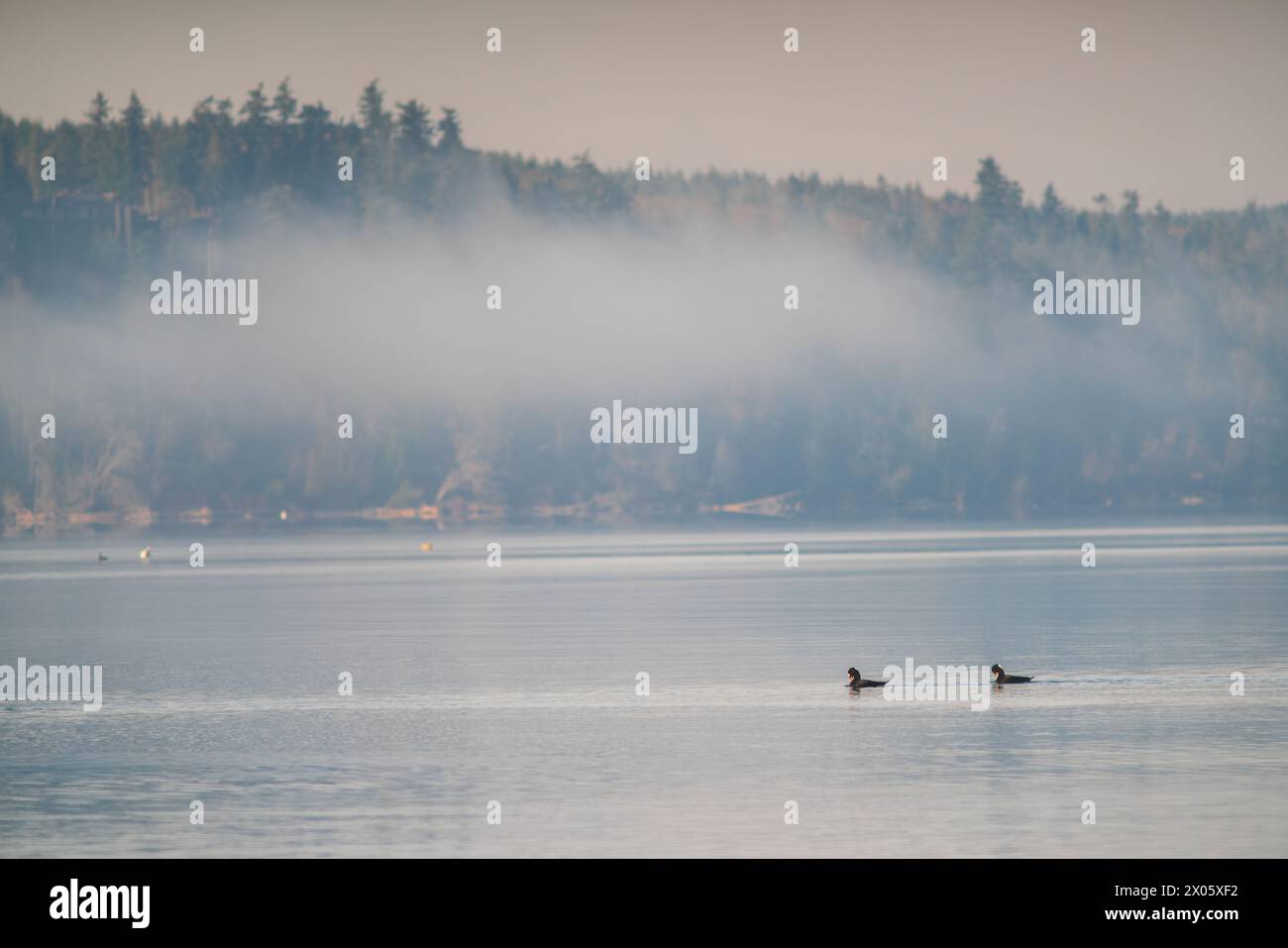 Hood canal landmarks hi-res stock photography and images - Alamy