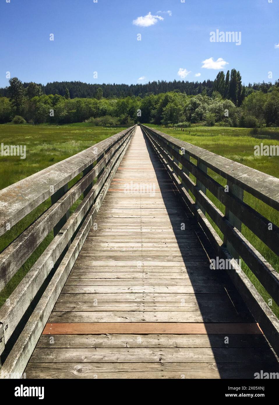 Theler Wetlands Nature preserve in Belfair, Washington State, USA Stock ...