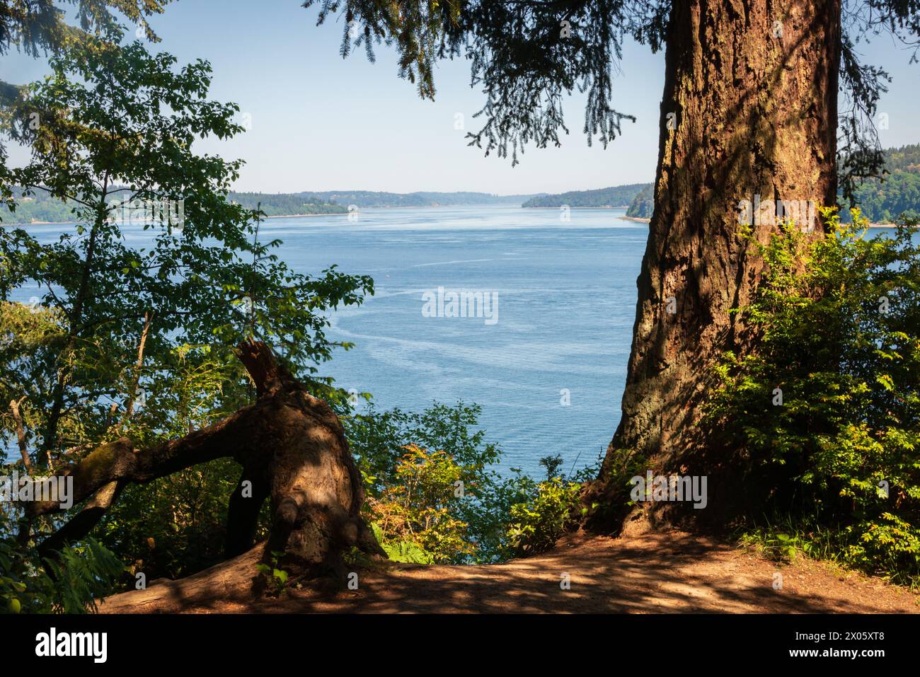Point Defiance Park in Tacoma, Washington, USA Stock Photo - Alamy