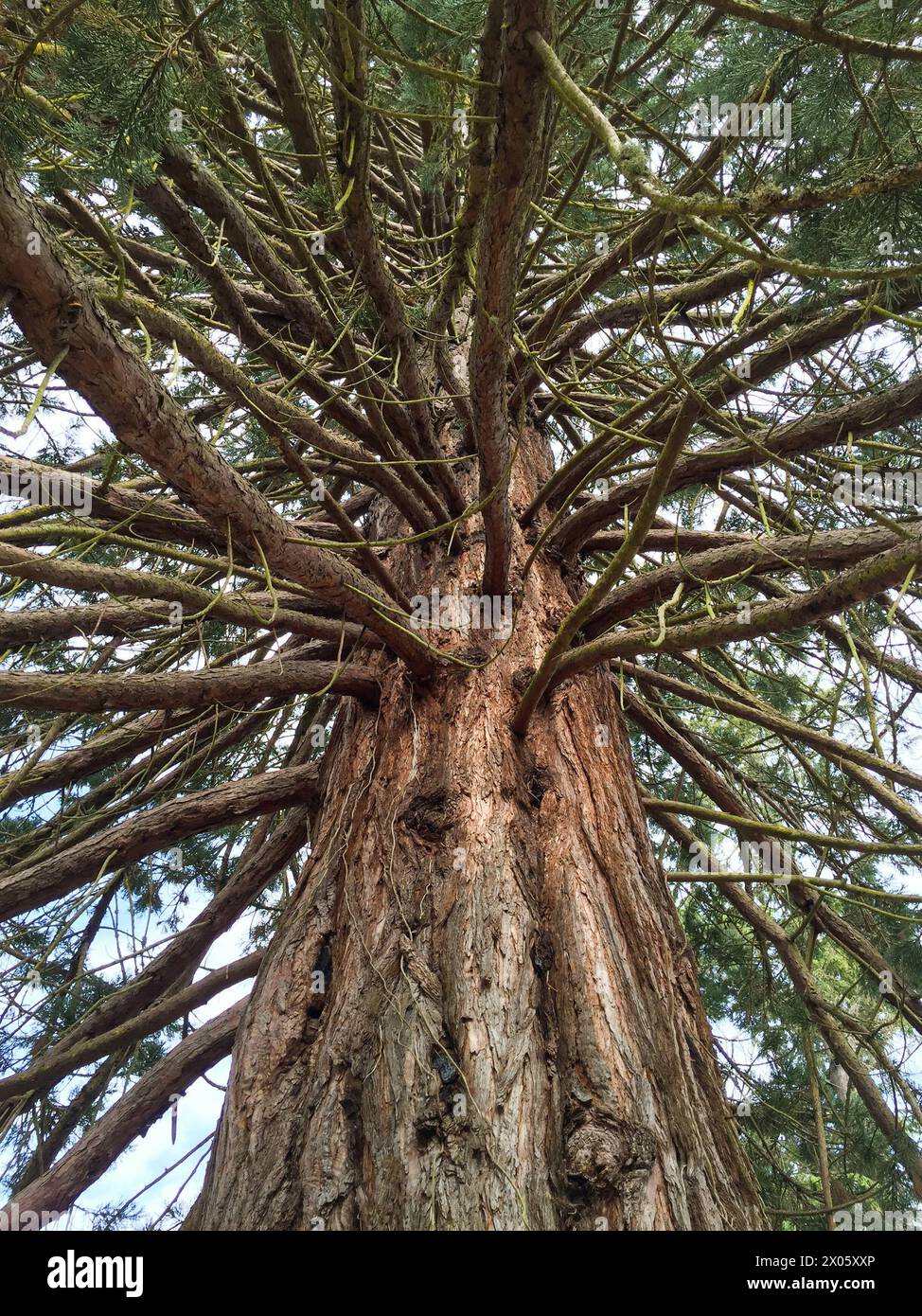 Point Defiance Park in Tacoma, Washington, USA Stock Photo - Alamy