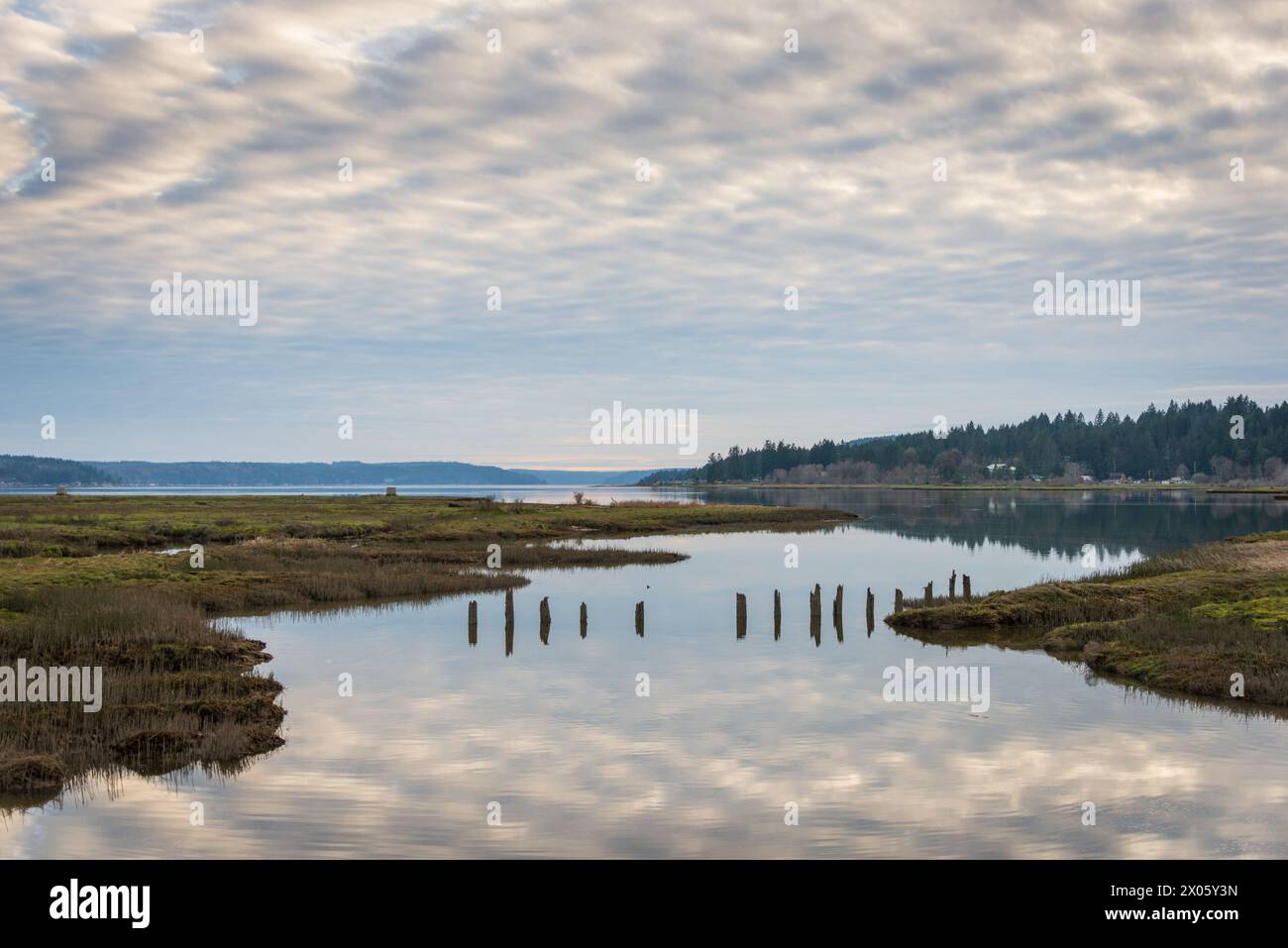 Theler Wetlands Nature preserve in Belfair, Washington State, USA Stock ...