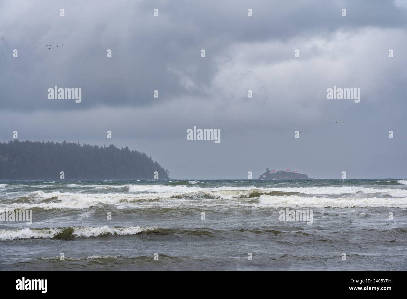 Large waves from rough seas roll into shore on Vancouver Island during ...