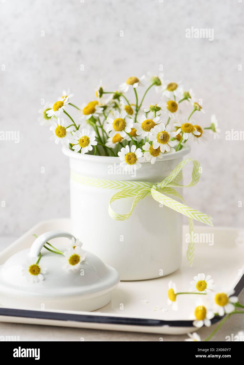 Matricaria chamomilla pot hi-res stock photography and images - Alamy