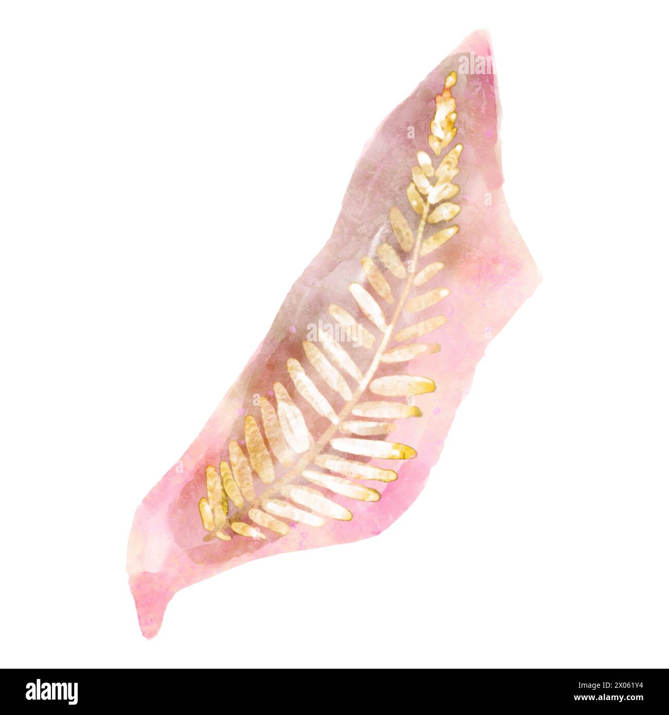 Fossil of plant in rock . Watercolor paint design . Vector Stock Vector ...