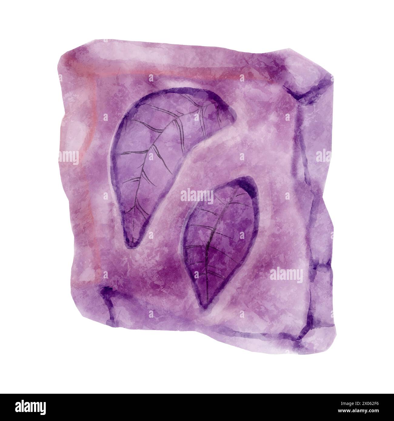 Fossil of plant in rock . Watercolor paint design . Vector Stock Vector ...