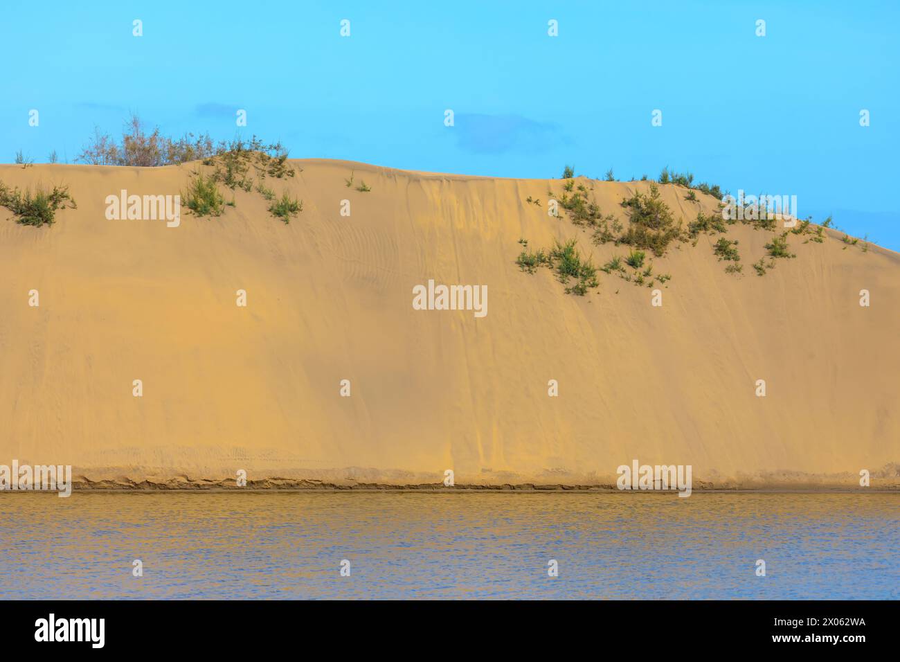 Sand Coastal Dune. Desert Oasis. Desert Meets Sea Stock Photo - Alamy