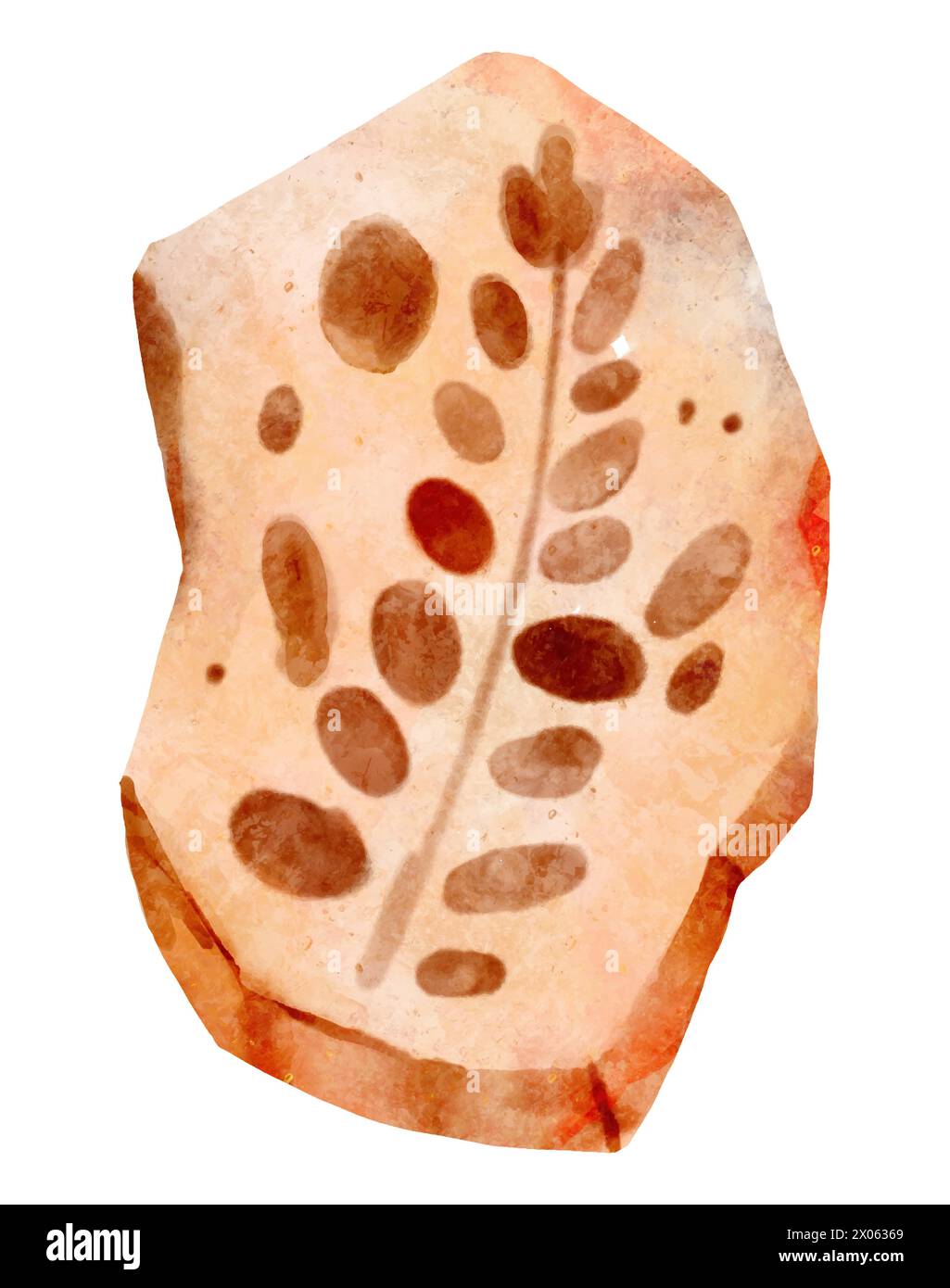 Fossil of plant in rock . Watercolor paint design . Vector Stock Vector ...
